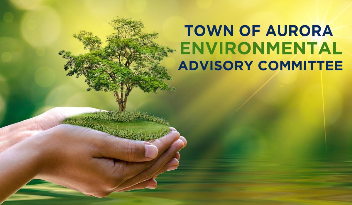 Environmental Advisory Committee – Tom Mrakas